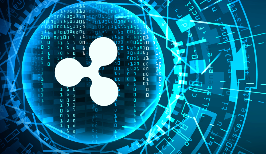 Mejores Ripple Wallet 2026: Crear tu Monedero XRP